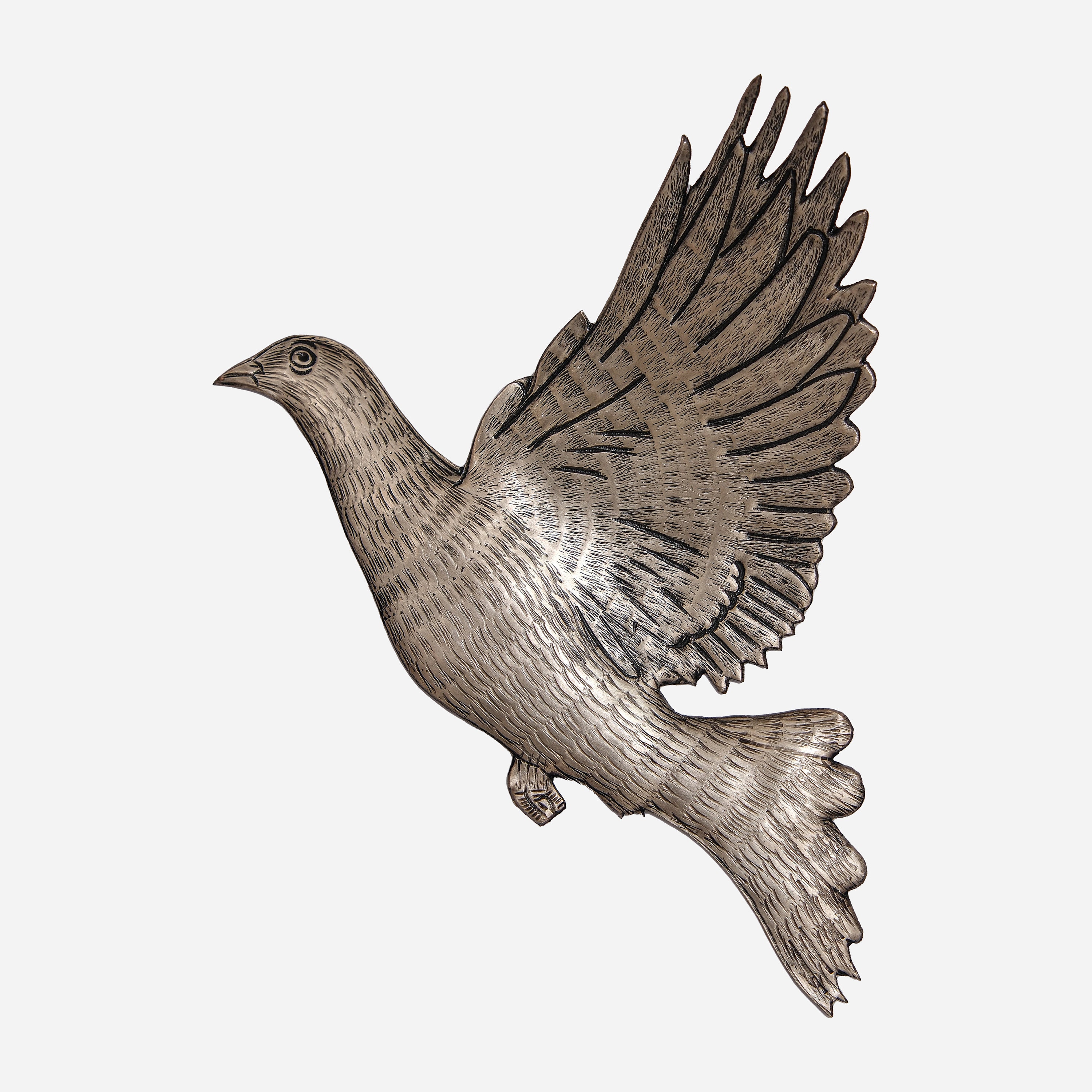 Flying Pigeon Drawing