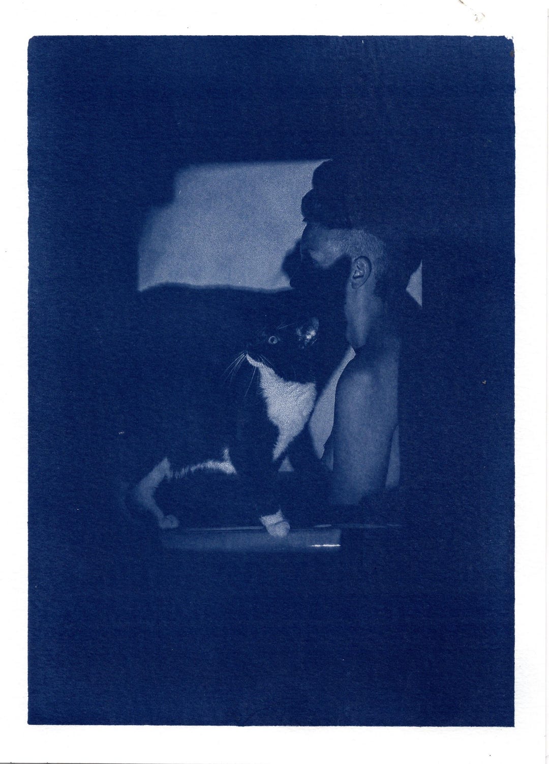 Cyanotype Self Portrait With My Cat, Signed Edition of 5 - Etsy