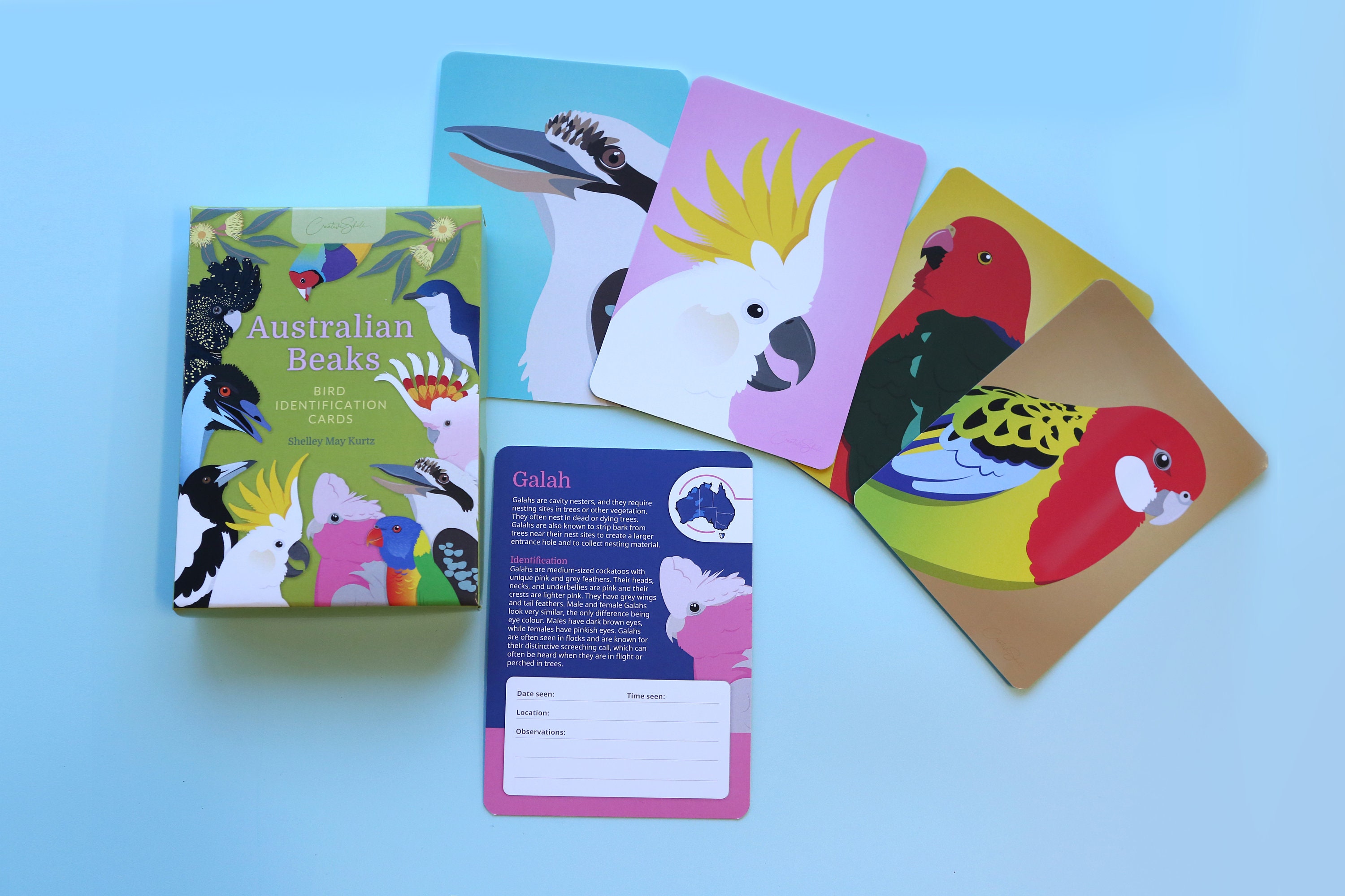 Australian Beaks Bird Identification Cards, Educational Bird Watching ...