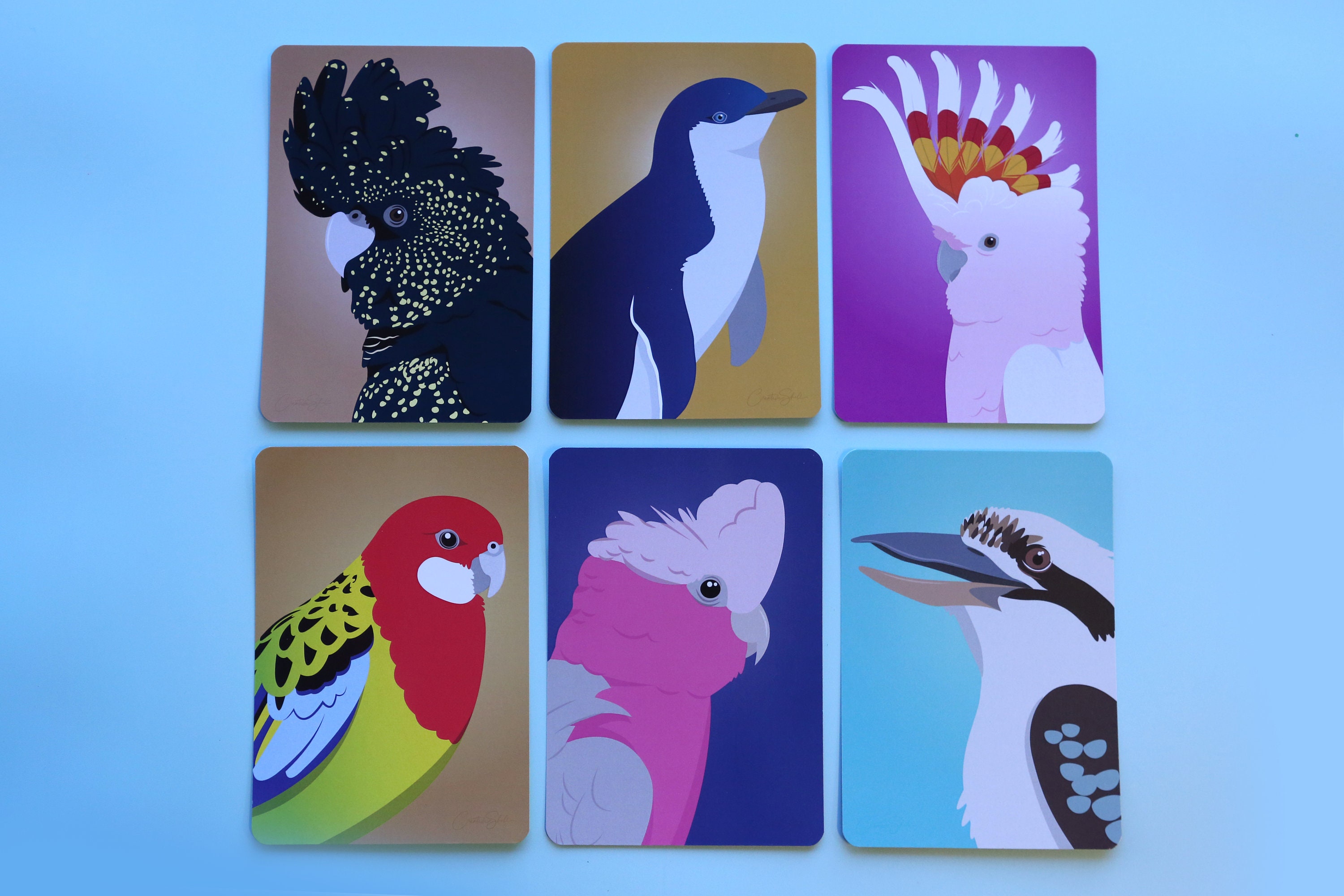 Australian Beaks Bird Identification Cards, Educational Bird Watching ...