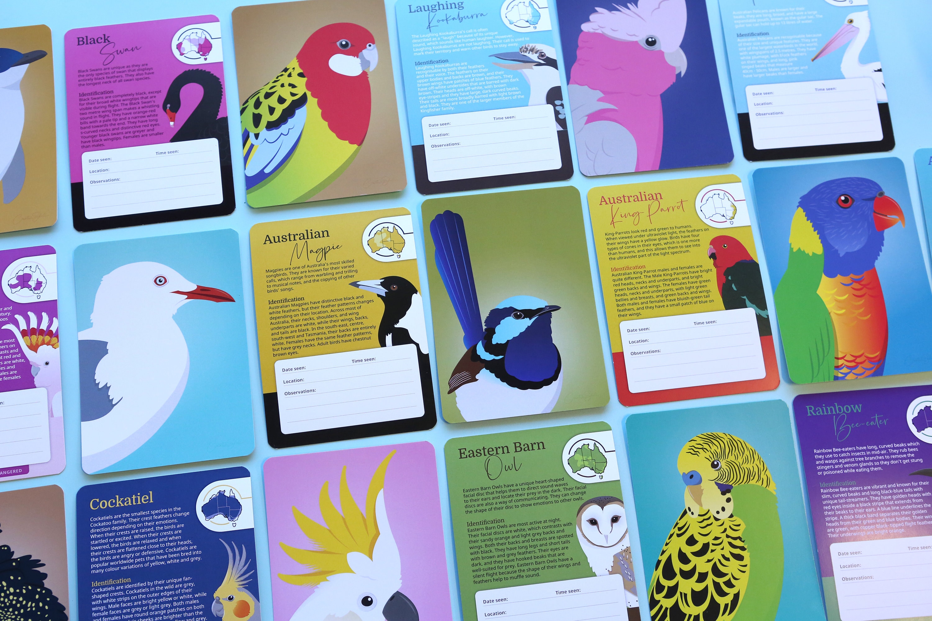 Australian Beaks Bird Identification Cards, Educational Bird Watching ...