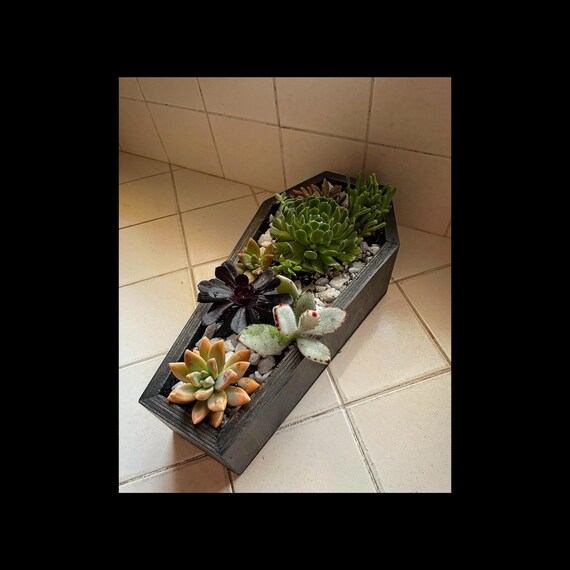 Coffin Planter Box | Etsy