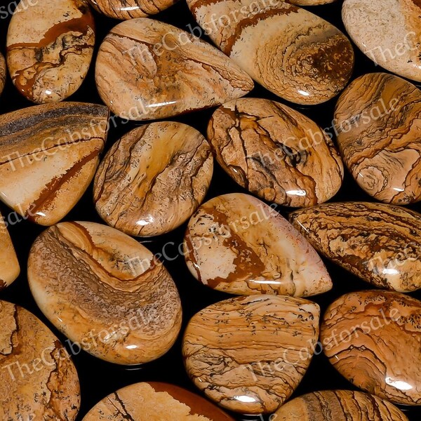 Owyhee Picture Jasper - Etsy
