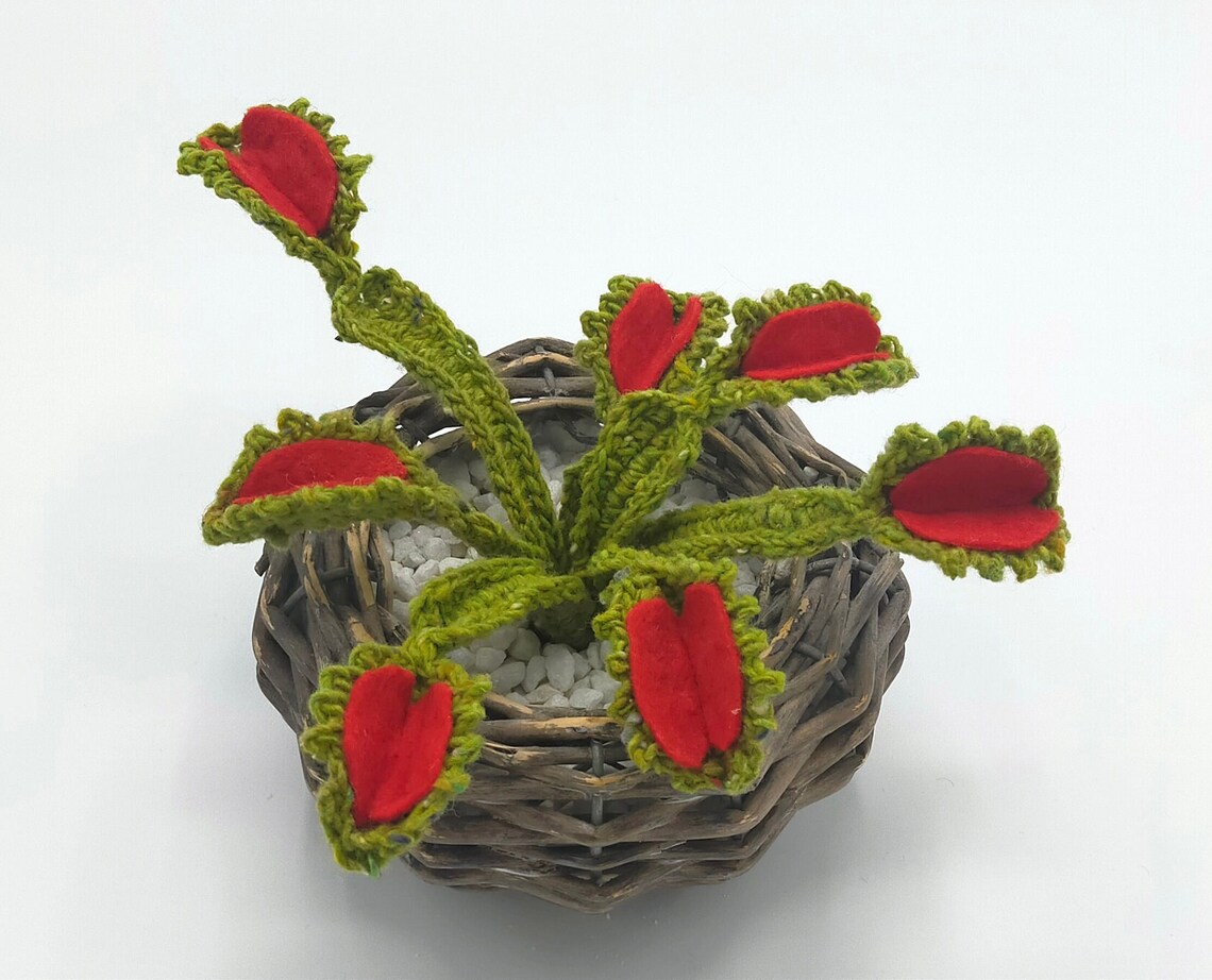 Venus Flytrap Crochet Pattern - Etsy