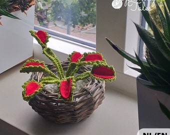 Venus Flytrap Crochet Pattern - Etsy