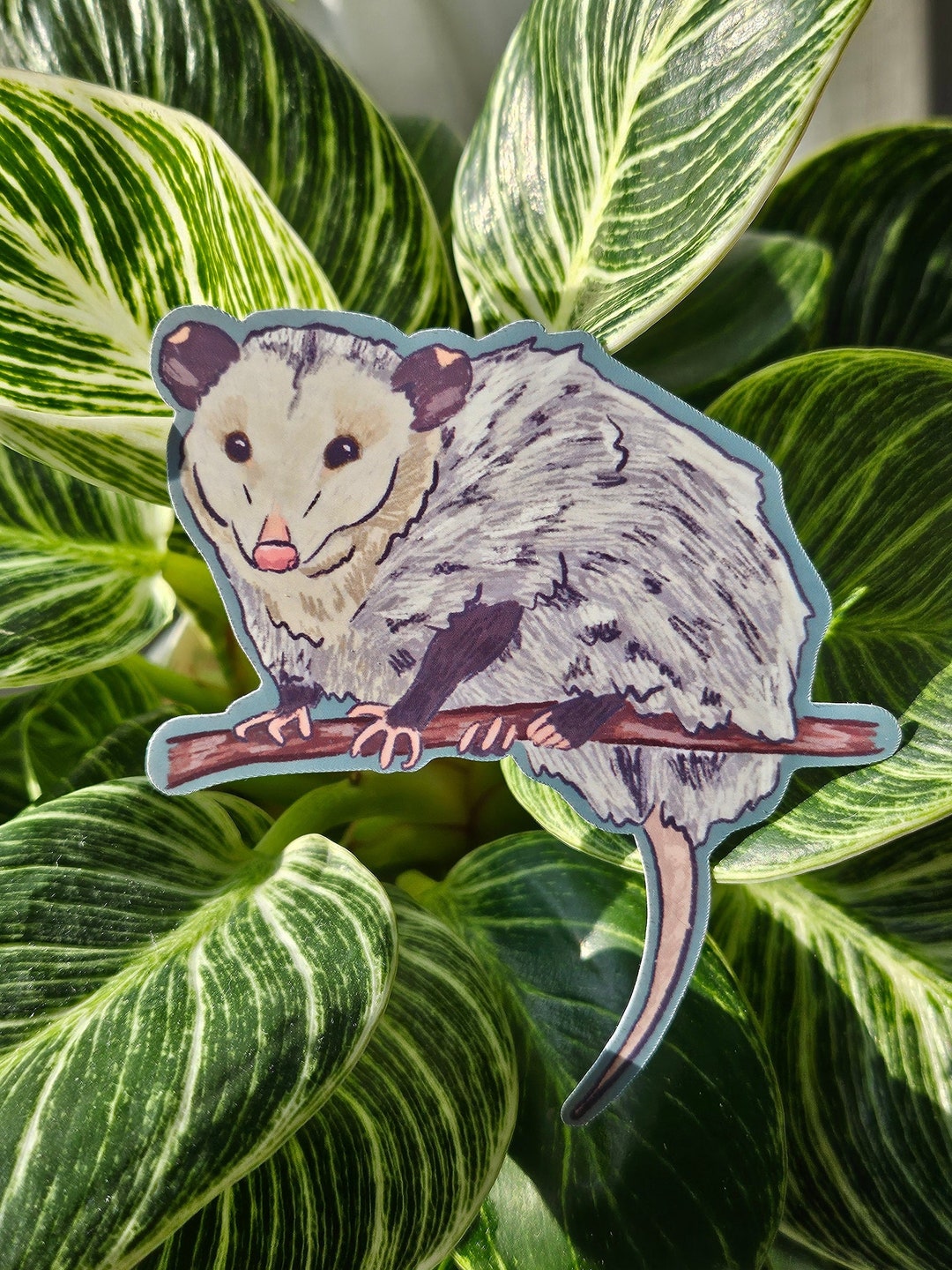 Possum Sticker - Etsy