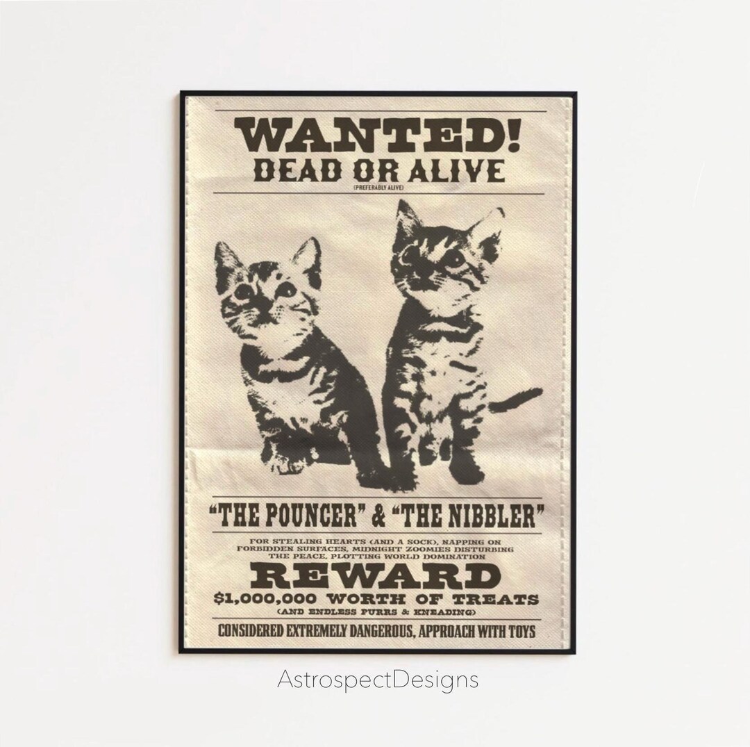Silly Cats Wanted Western Poster, Wall Decor, Digital Download ...