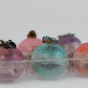 Tea Globes® Variety Set of 12 - Etsy