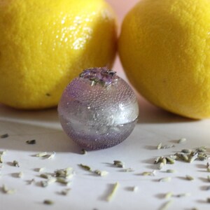 Tea Globes® Variety Set of 12 - Etsy