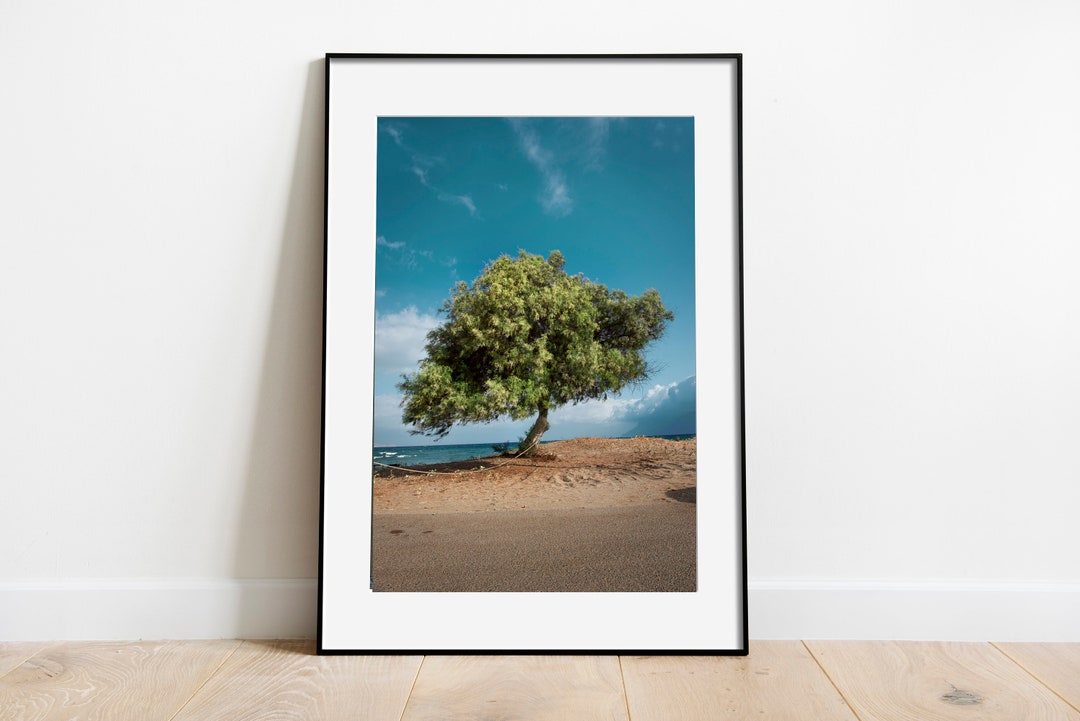 Greek Pine Tree on the Beach - Digital Download, Printable, Wall Art - Etsy
