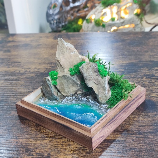Plant Diorama - Etsy