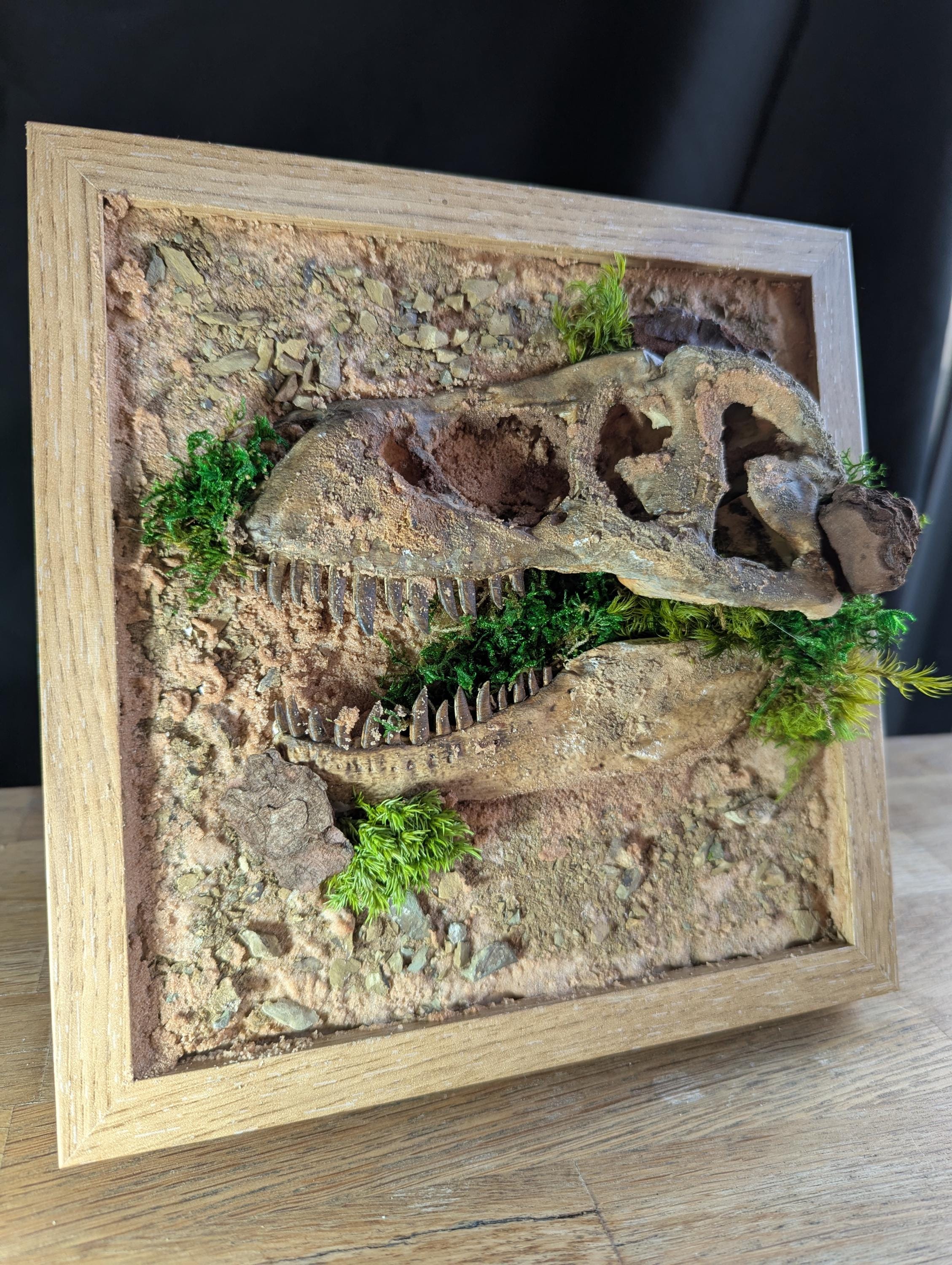 T-rex Skull Replica • Dinosaur Fossil Diorama • 20x20 Painting, Resin ...