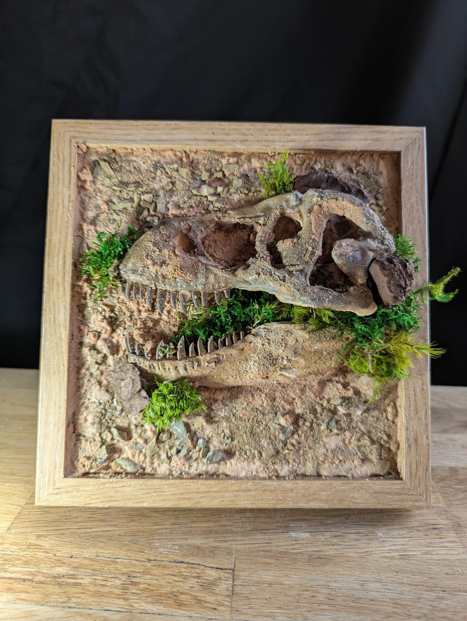 T-rex Skull Replica • Dinosaur Fossil Diorama • 20x20 Painting, Resin ...