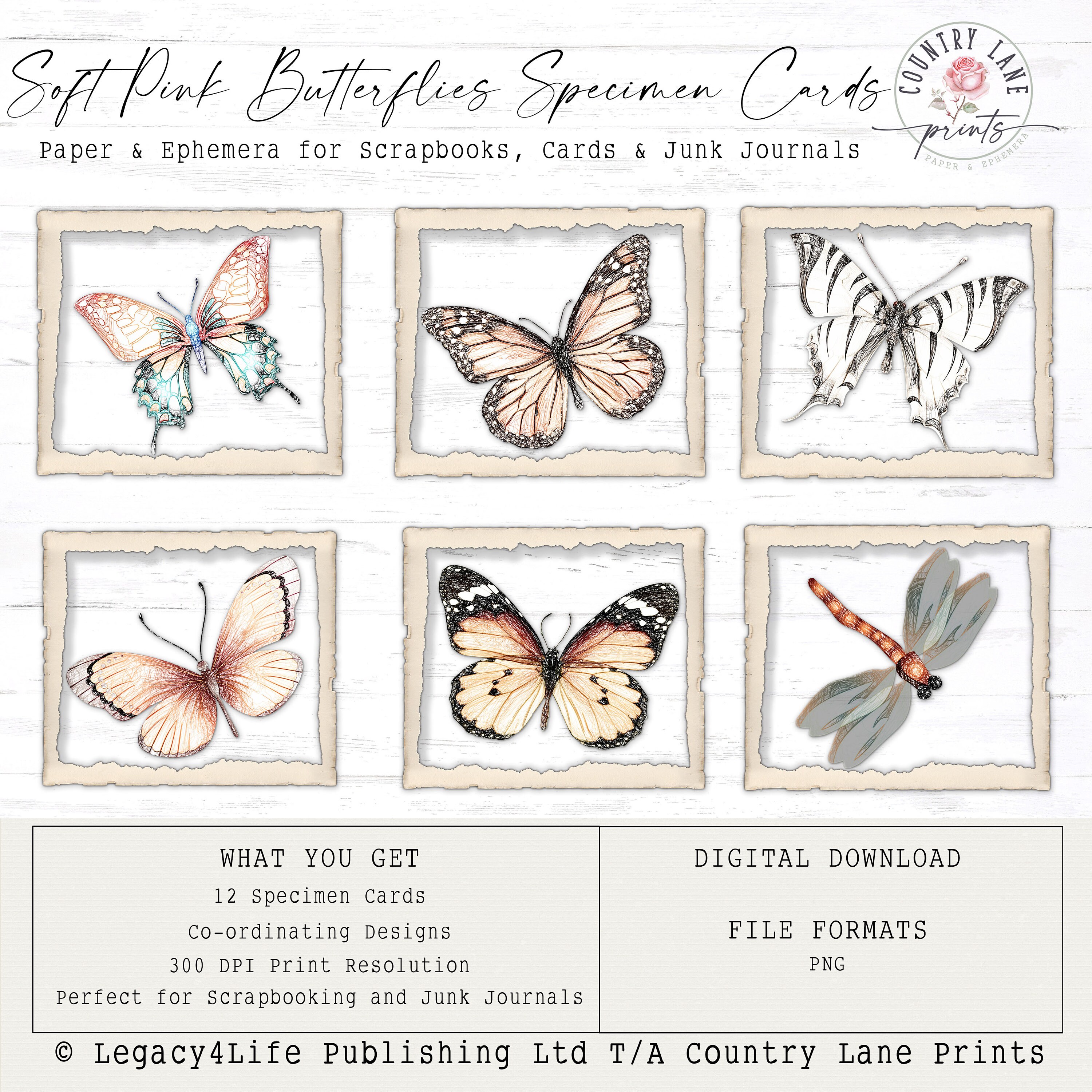 Soft Pink Butterfly Specimen Cards Digital Cards Vintage - Etsy