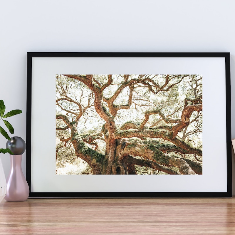 Angel Oak - Etsy