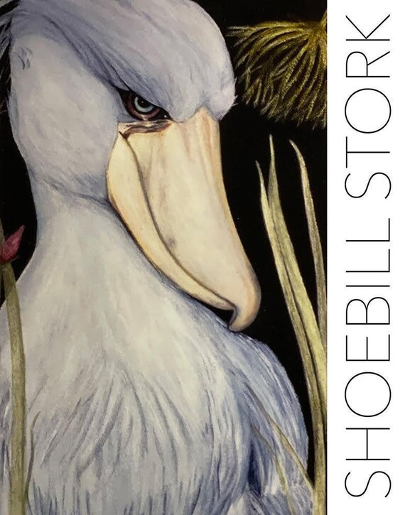 11x14 Angry Shoebill Stork Painting Giclee Print Art Bird - Etsy