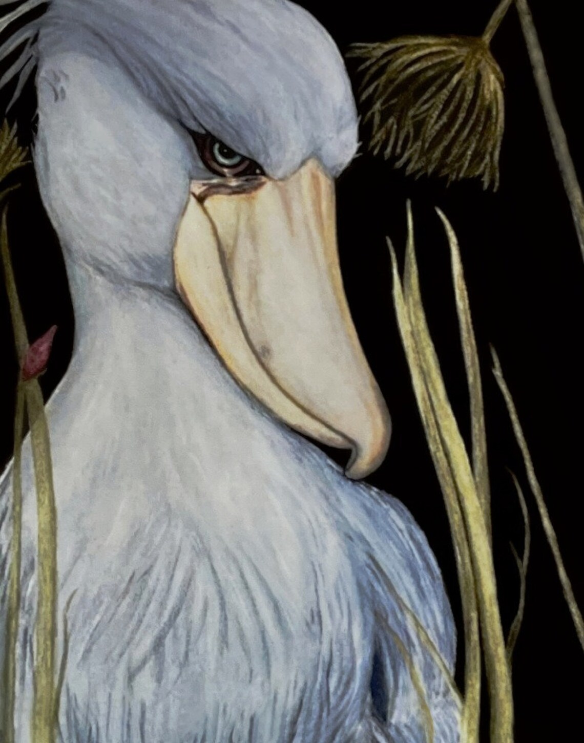 11x14 Angry Shoebill Stork Painting Giclee Print Art Bird | Etsy