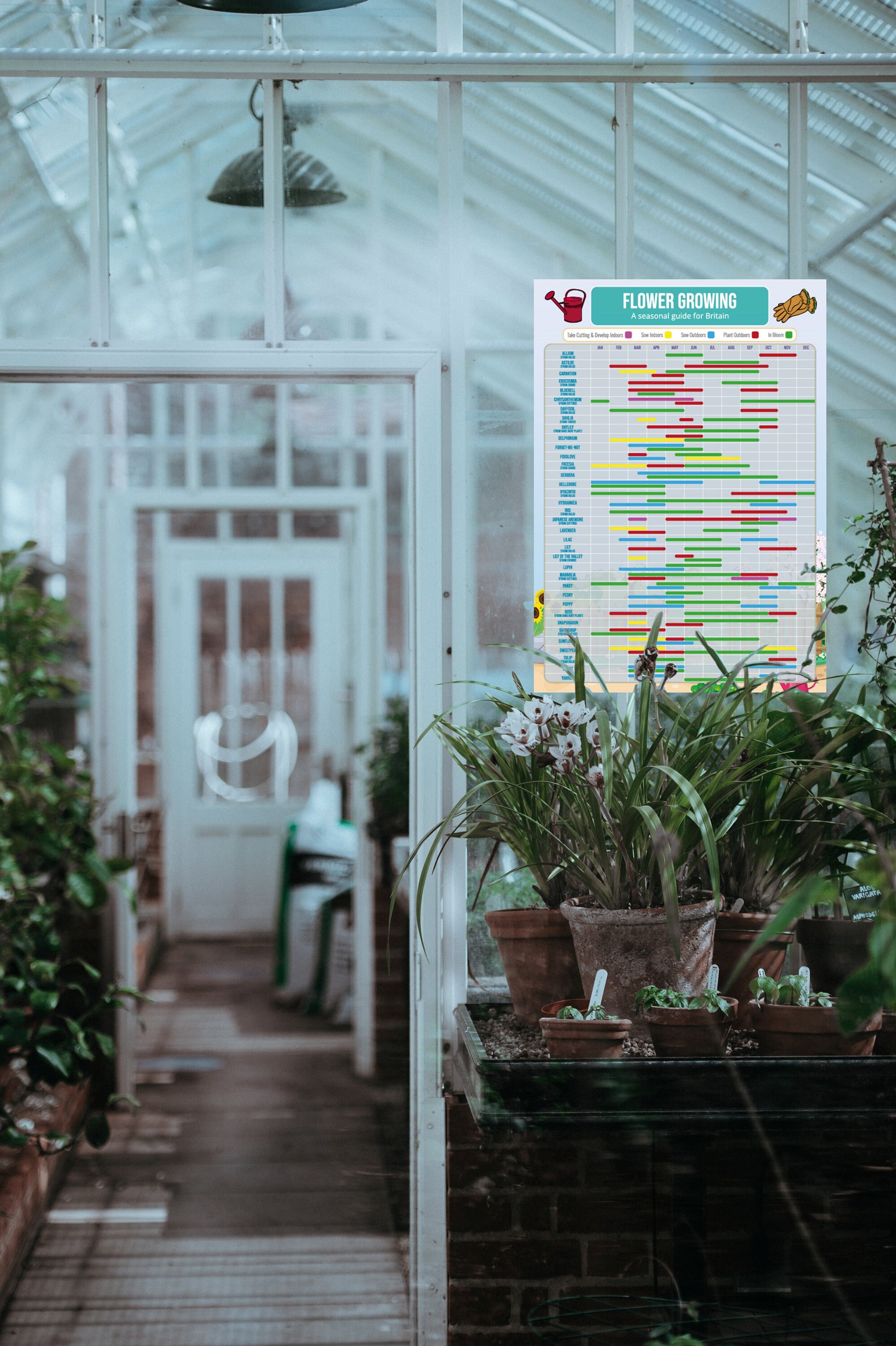 Gardening Fruit, Vegetable, Flower Growing Planner Poster - A3 Size and ...