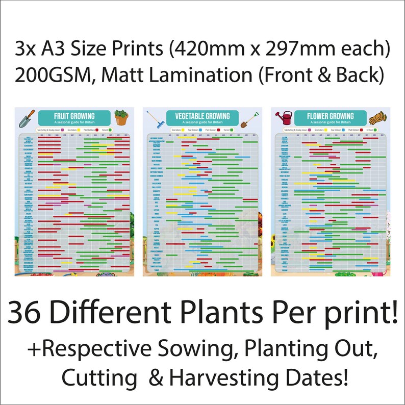 Gardening Fruit, Vegetable, Flower Growing Planner Poster - A3 Size and ...