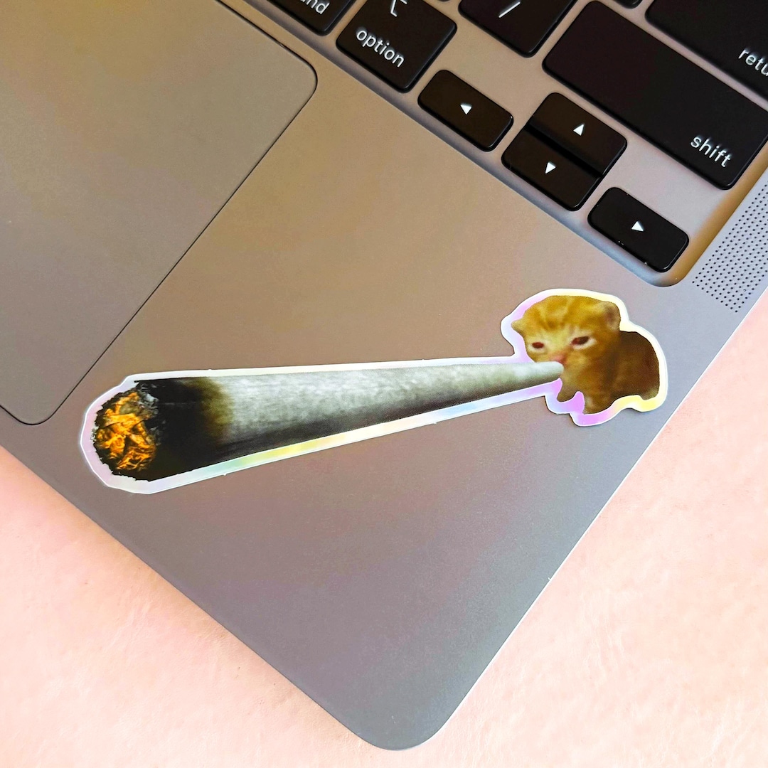 Zazabert Holographic Weed Cat Meme Sticker - Etsy