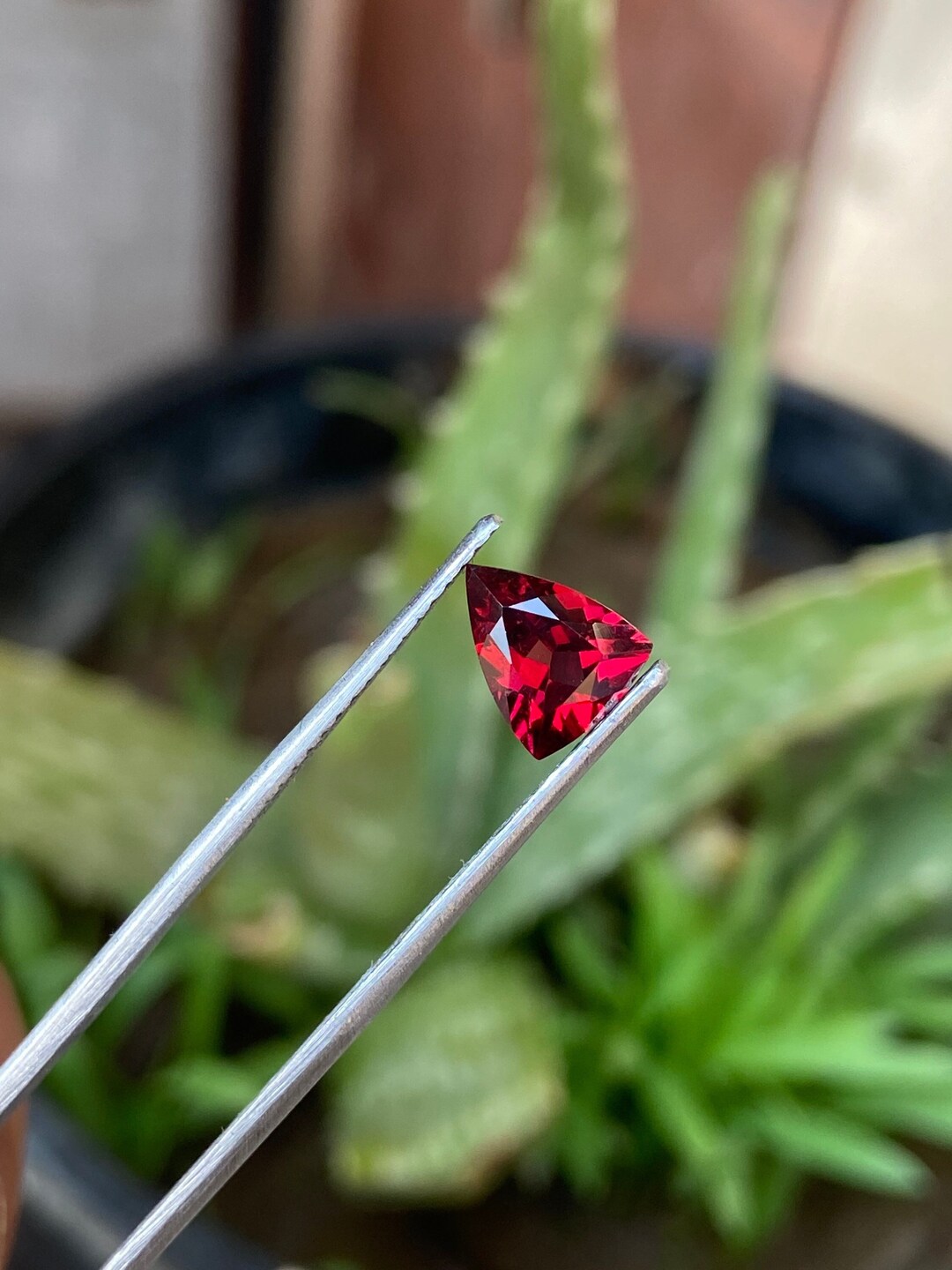 Natural 1.25 Carat Red Rhodolite Garnet: Fancy Cut Gemstone, January ...