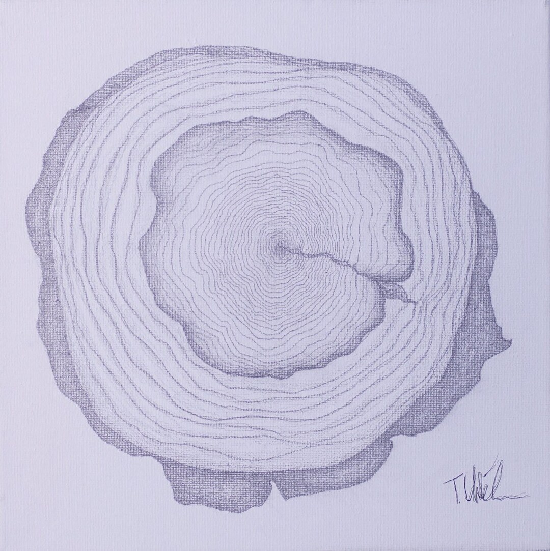 Balum Disc on Canvas Pencil Drawing Art - Etsy