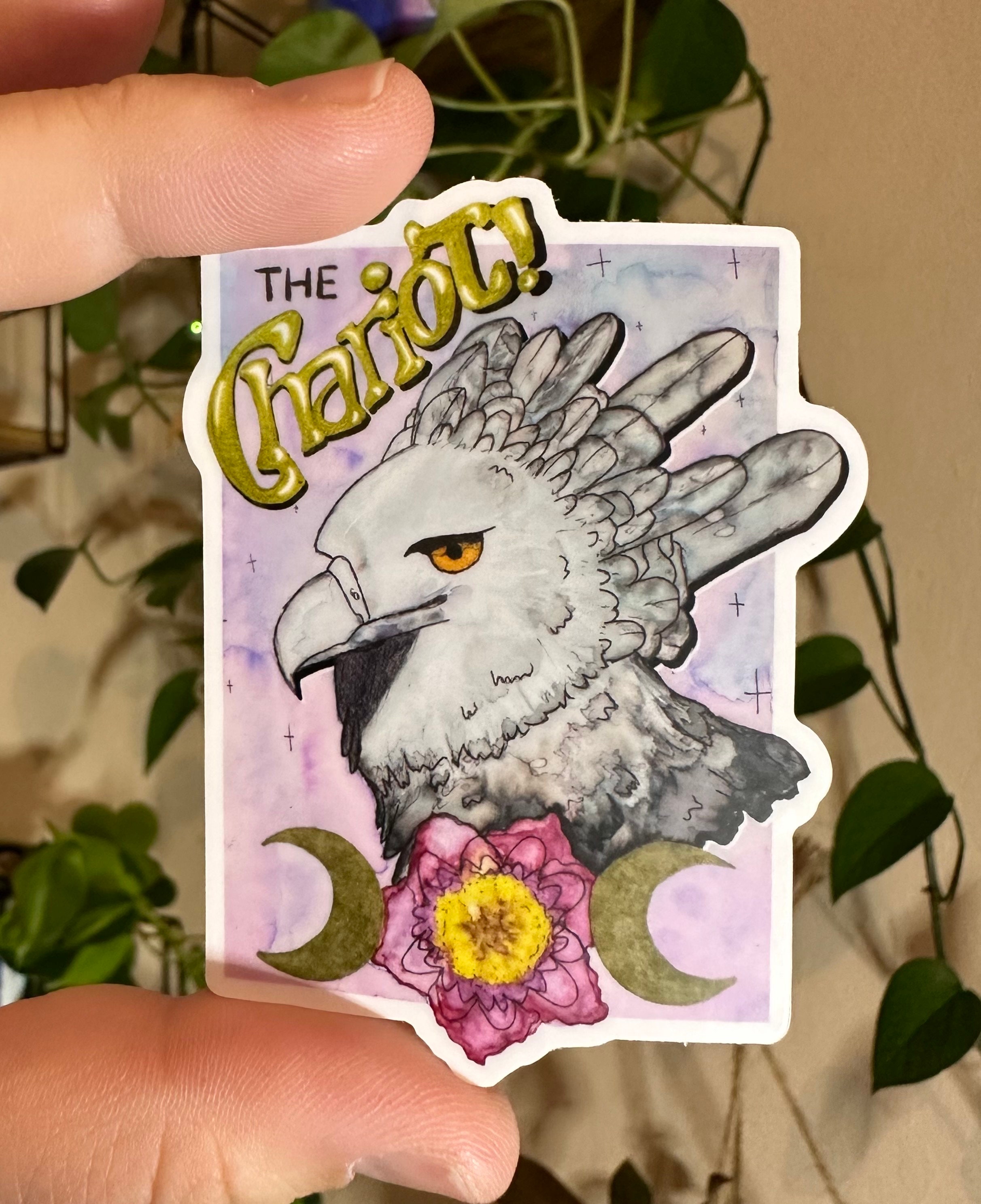 The Chariot Harpy Eagle Tarot Sticker Waterbottle Sticker - Etsy Australia