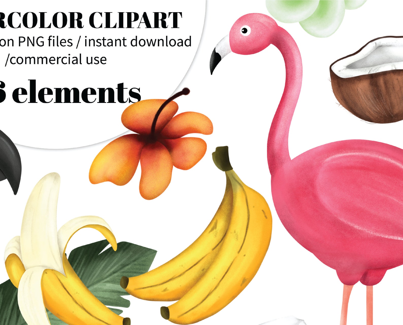 CLIPART SET TROPICAL Digital Transparent Background for - Etsy