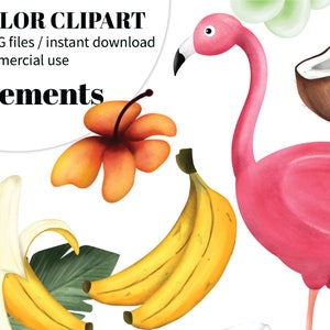 CLIPART SET - TROPICAL Digital, Transparent Background for Summer ...