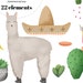 CLIPART SET Lama Digital, Transparent Background for Summer, Commercial ...