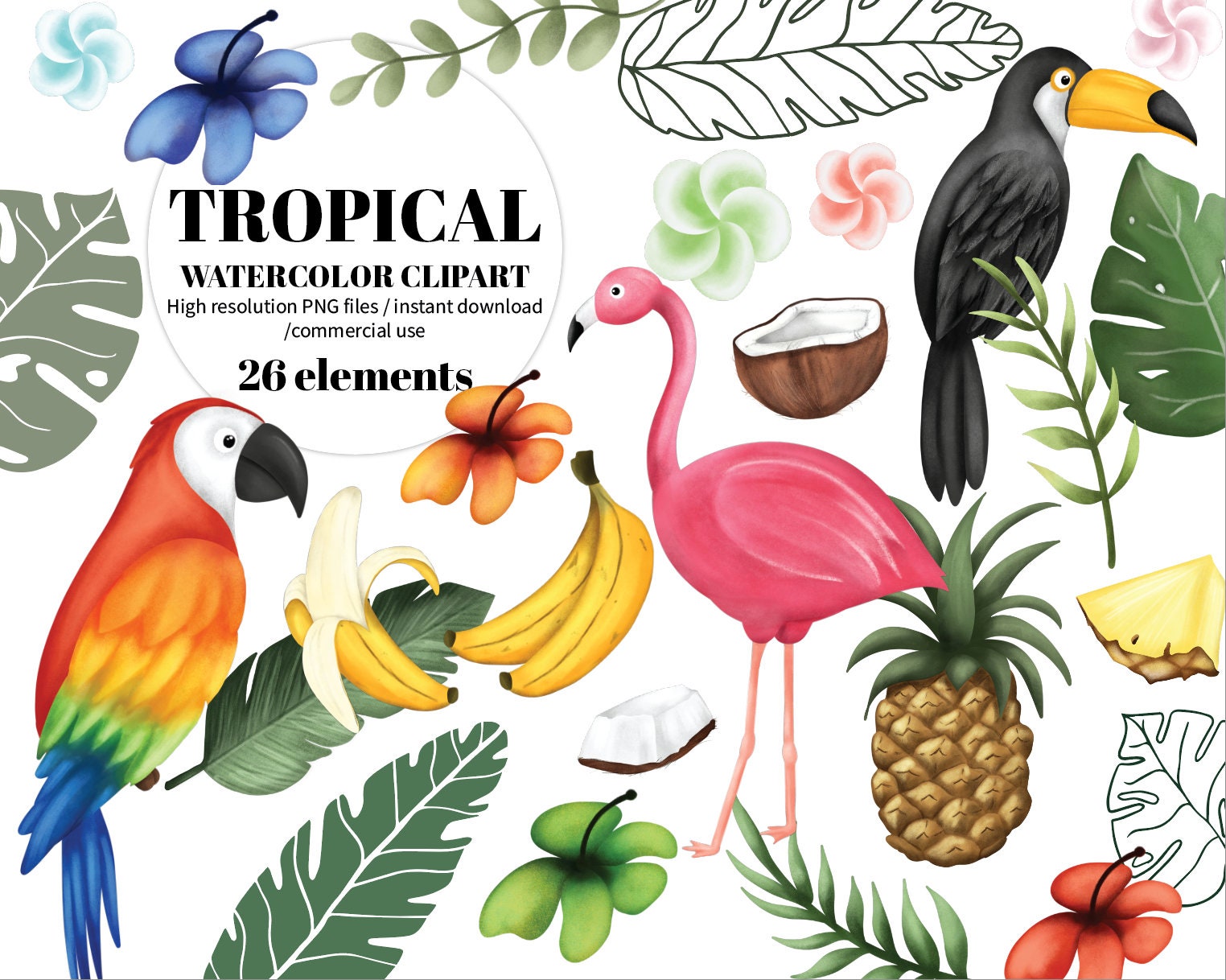 CLIPART SET TROPICAL Digital Transparent Background for - Etsy
