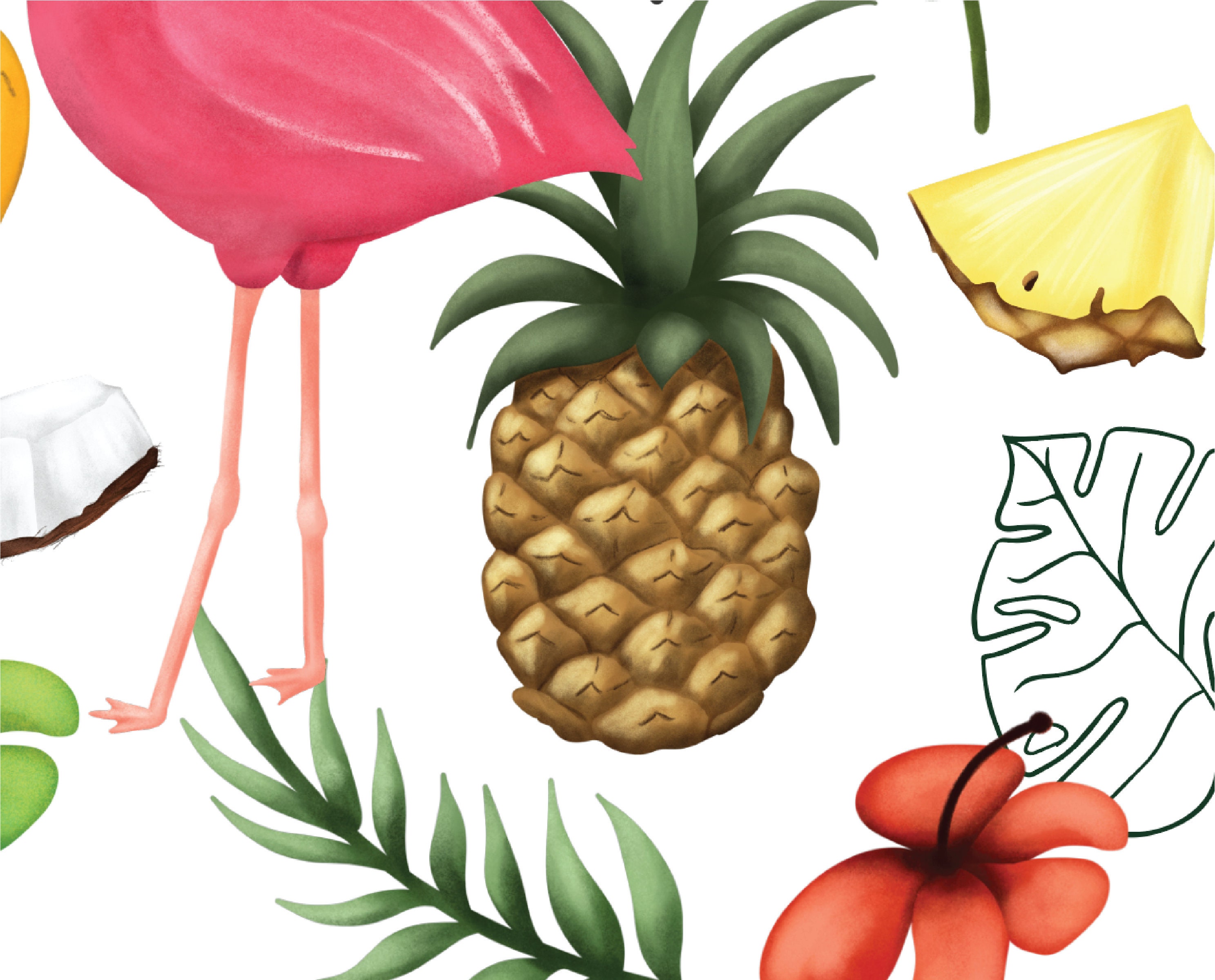 CLIPART SET TROPICAL Digital Transparent Background for - Etsy