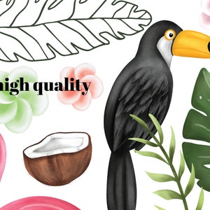 CLIPART SET - TROPICAL Digital, Transparent Background for Summer ...