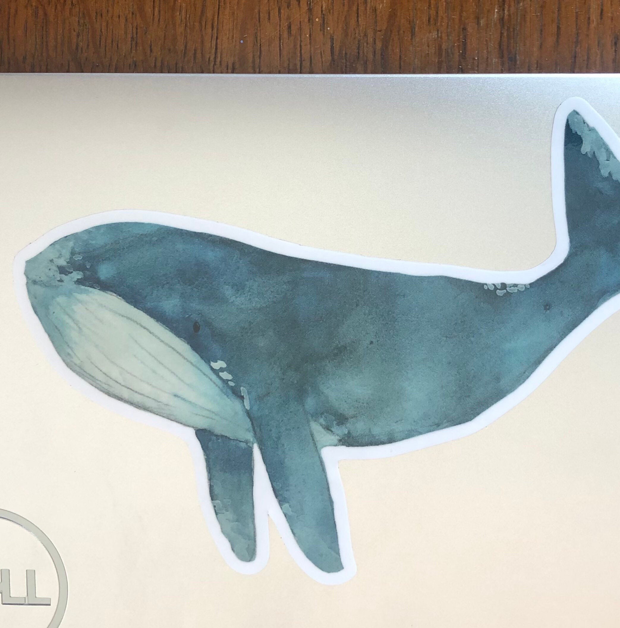 Whale Die-cut Vinyl Sticker for Water Bottles and Electronics - Etsy