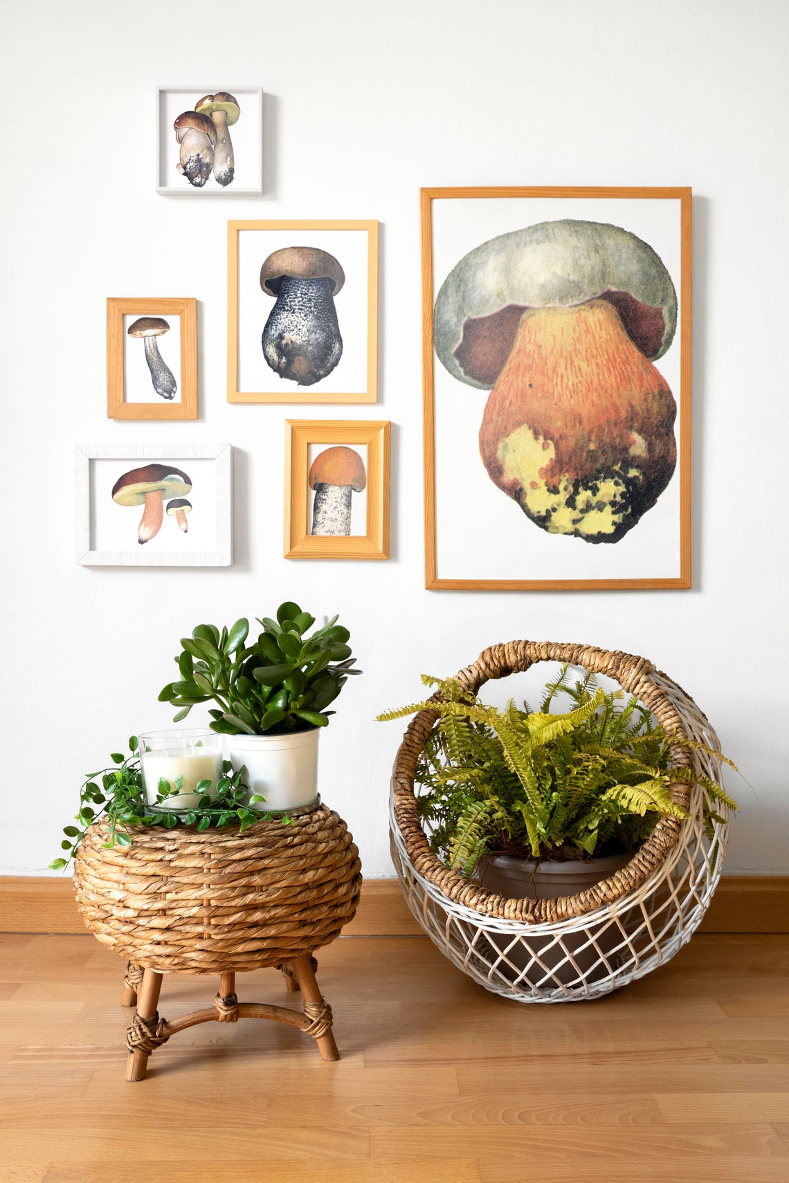 Printable Set of 13 Mushrooms | Digital Download | Instantly Printable ...