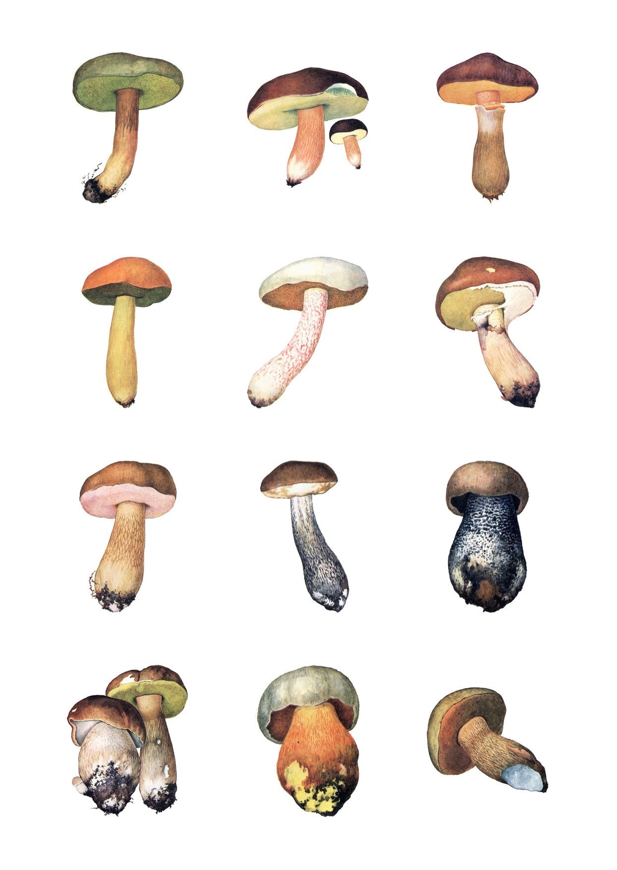 Conjunto imprimible de 13 setas / Descarga digital / Carteles ...