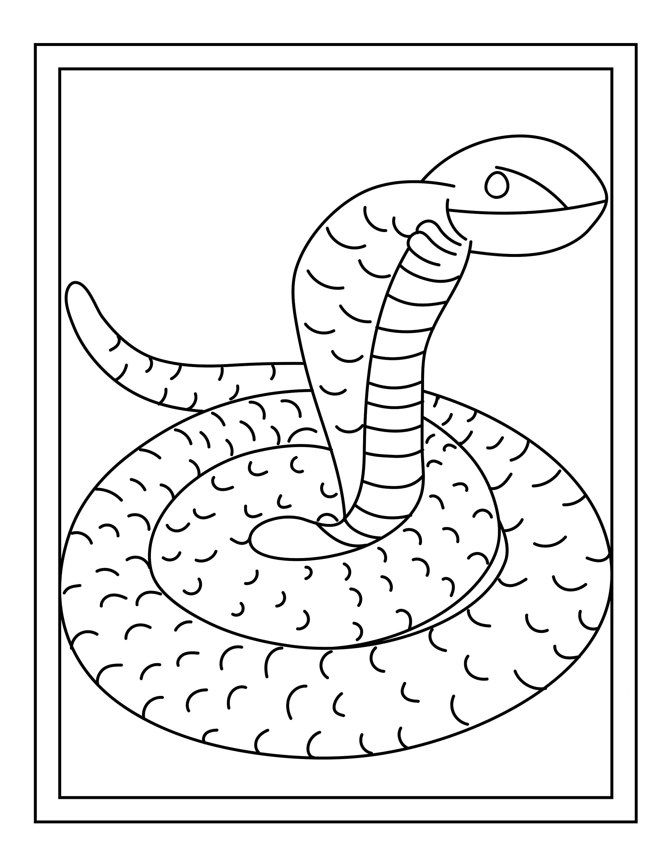 Cobra Snakes Printable 16 Pages - Etsy UK