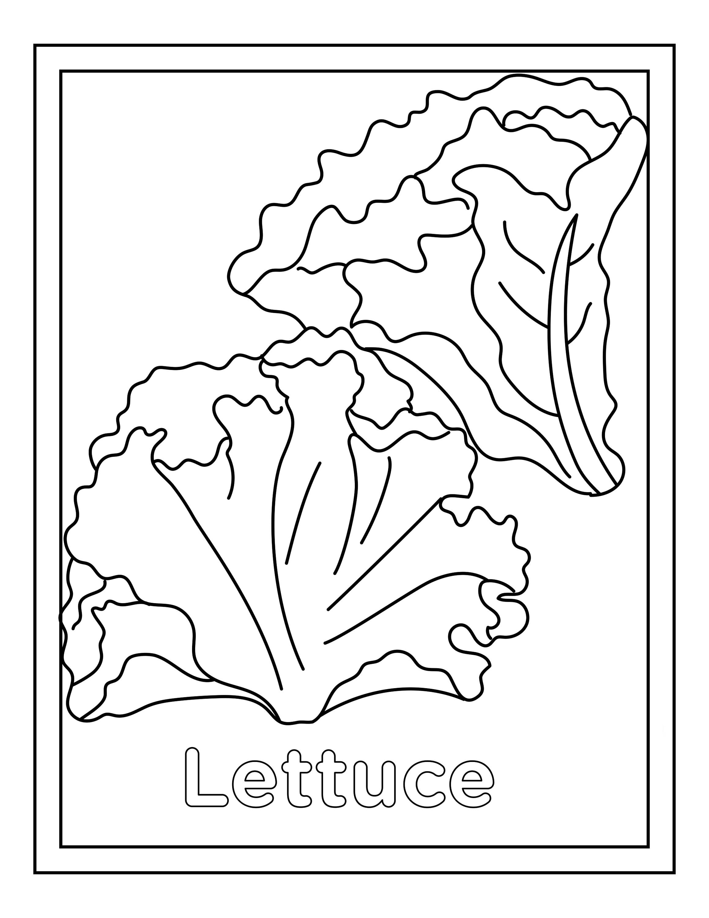 Vegetables Printable 48 Coloring Pages - Etsy