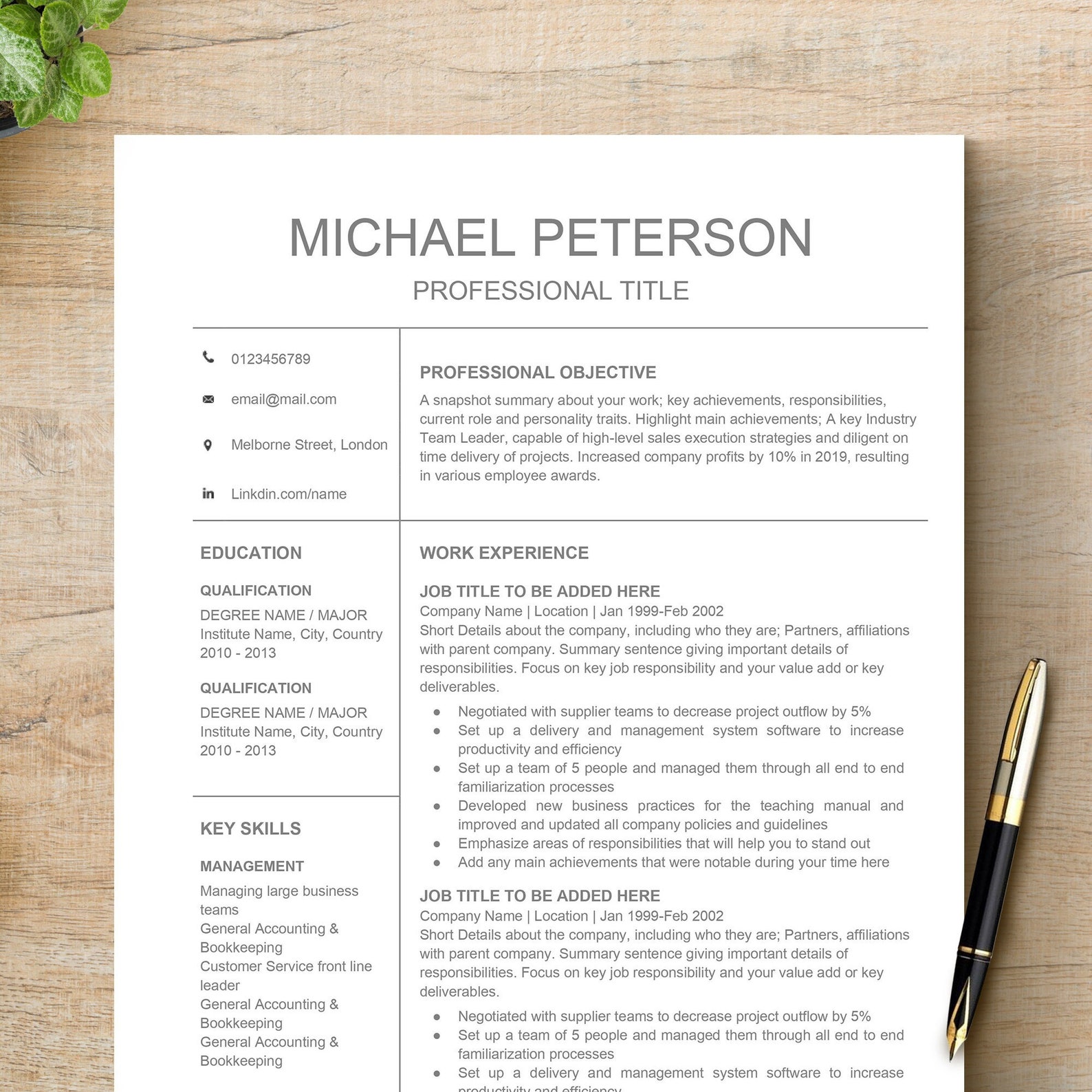 Resume Template, Professional Modern Resume Template for Pages, Word ...