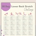30 Day Lower Back Stretch Challenge | Digital Workout Guide | Workout ...