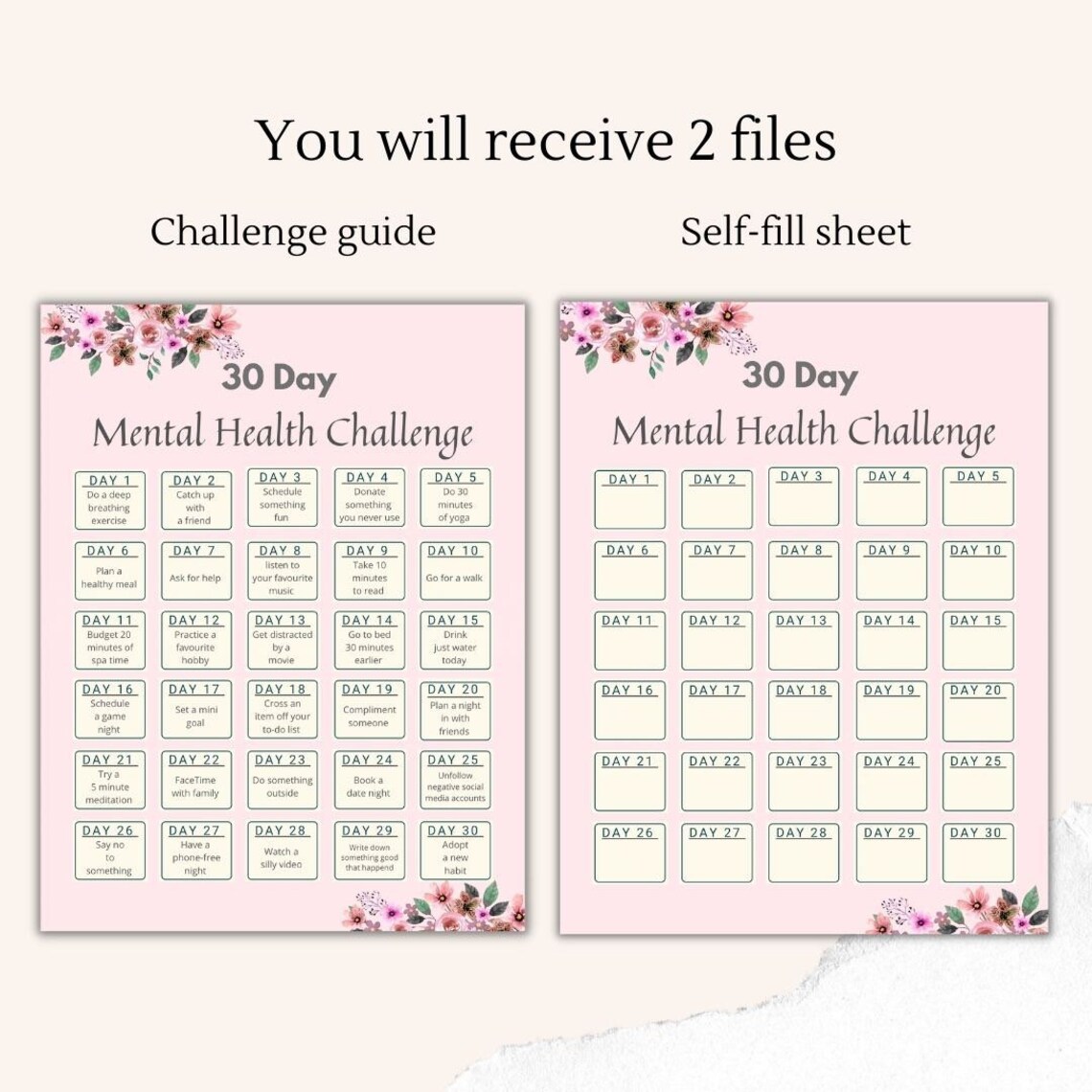 30 Day Mental Health Challenge Guide Self Care Worksheet - Etsy