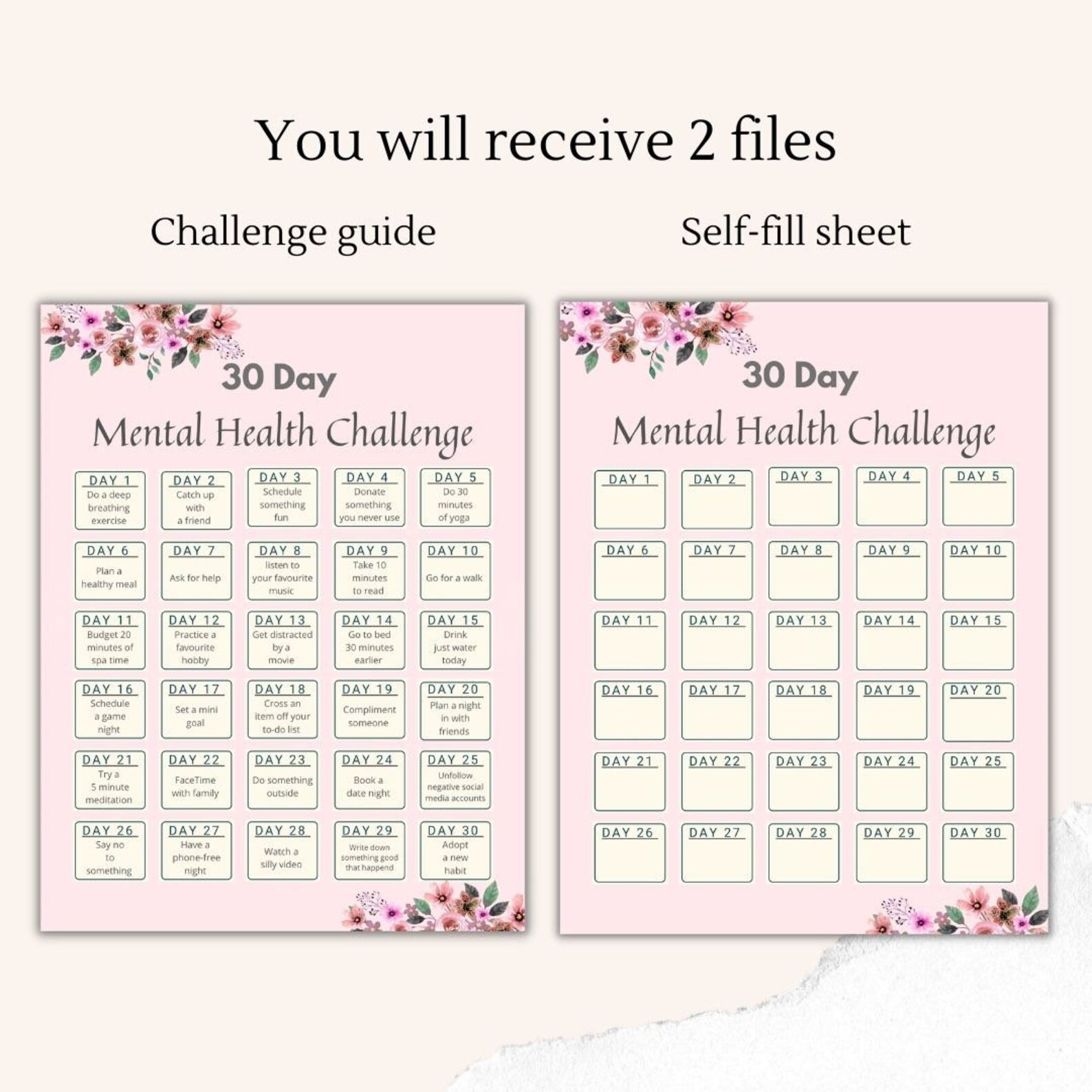 30 Day Mental Health Challenge Guide Self Care Worksheet - Etsy