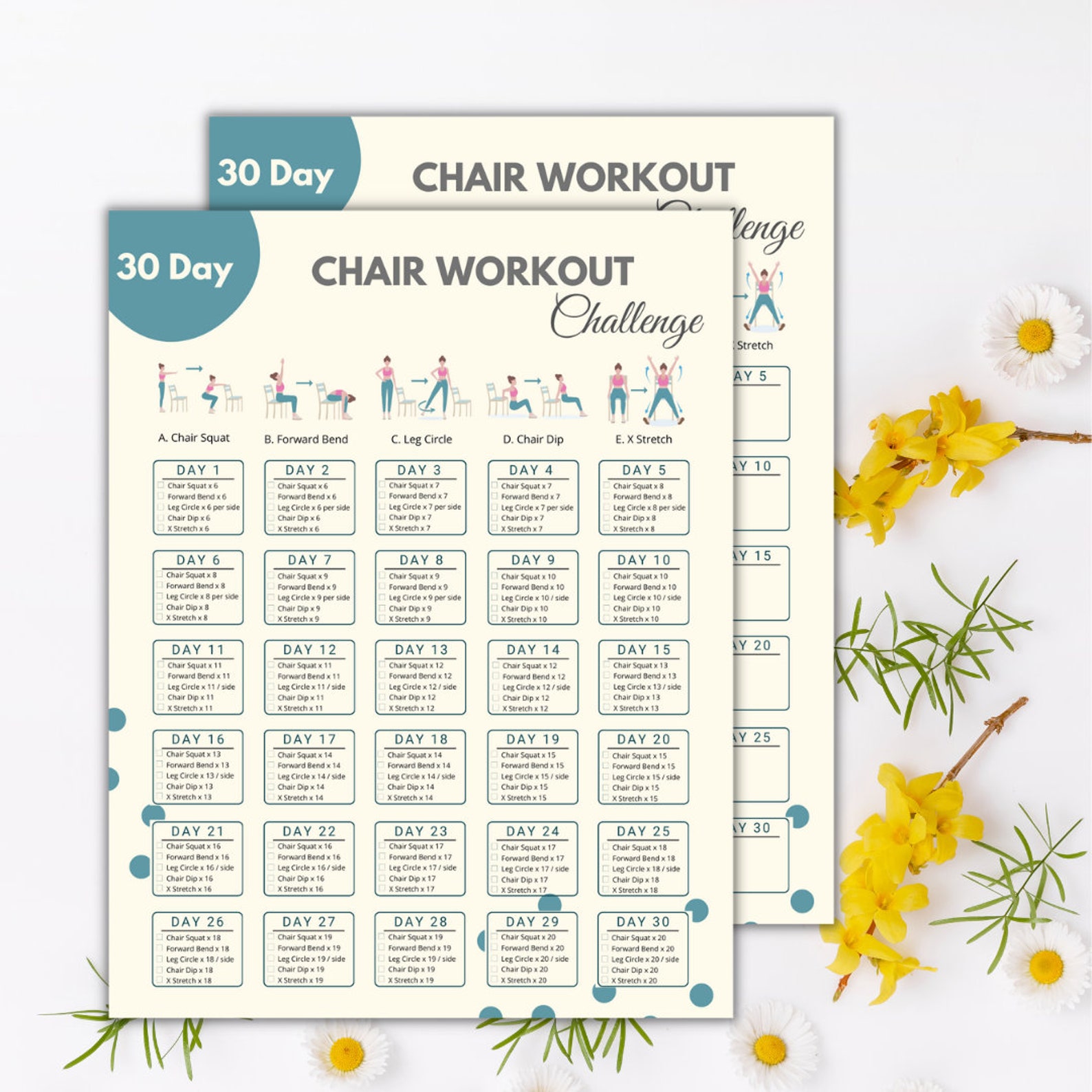 30 Day Chair Workout Challenge Printable Chair Yoga Guide - Etsy