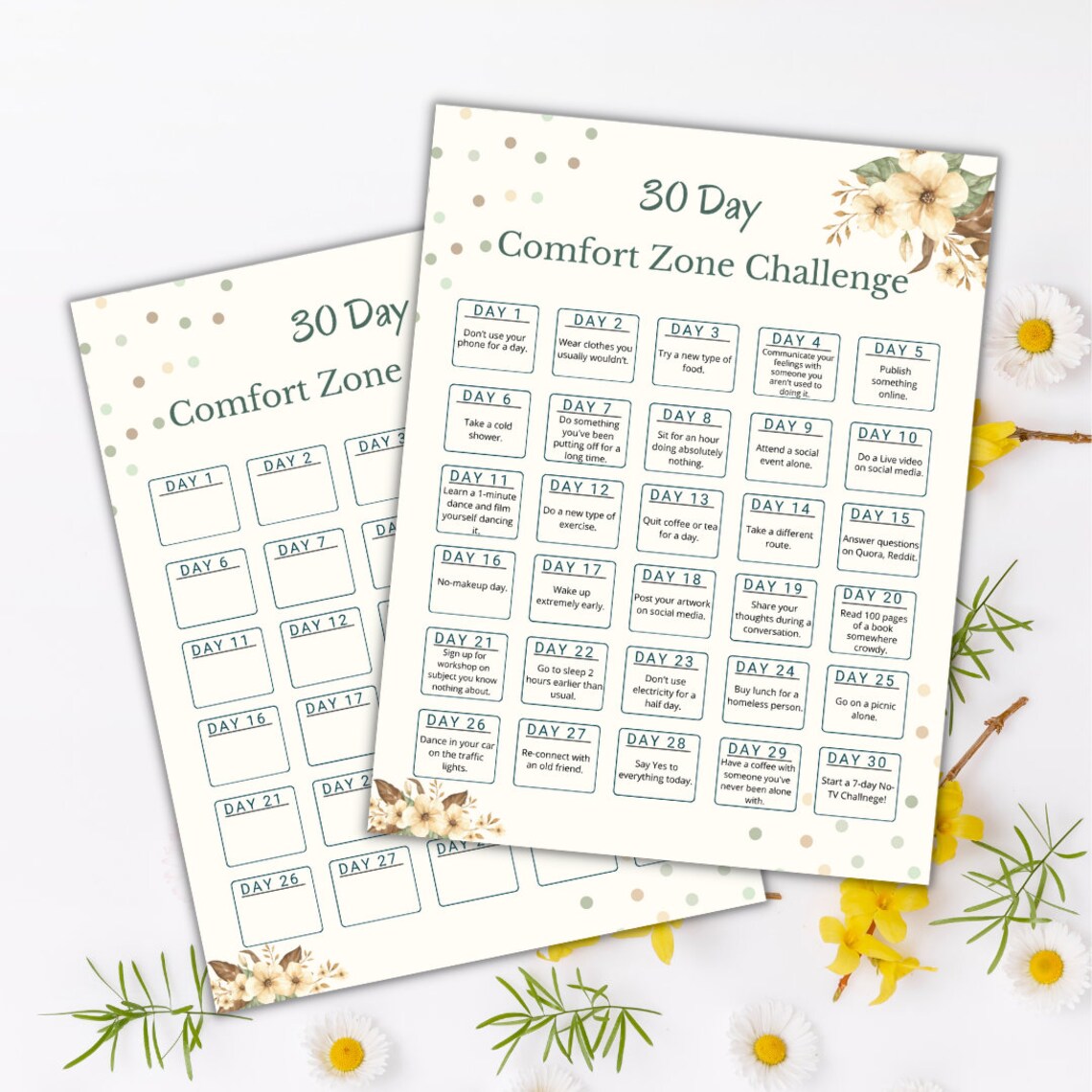 30 Day Comfort Zone Challenge Printable - Etsy