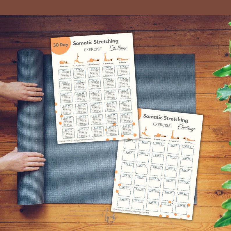 Somatic Stretching Exercise Challenge Somatic Healing Coping Skills ...