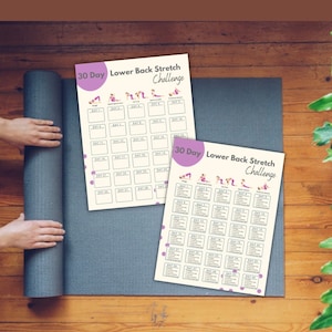 30 Day Lower Back Stretch Challenge | Digital Workout Guide | Workout ...