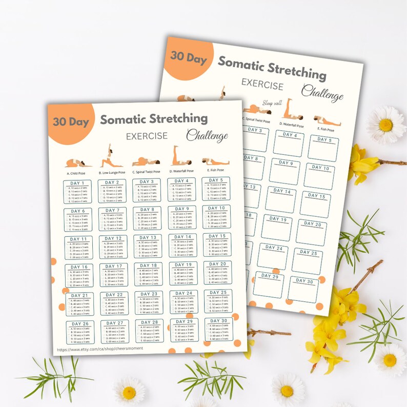 Somatic Stretching Exercise Challenge | Somatic Healing Coping Skills | Nerve Therapy | Stress ...