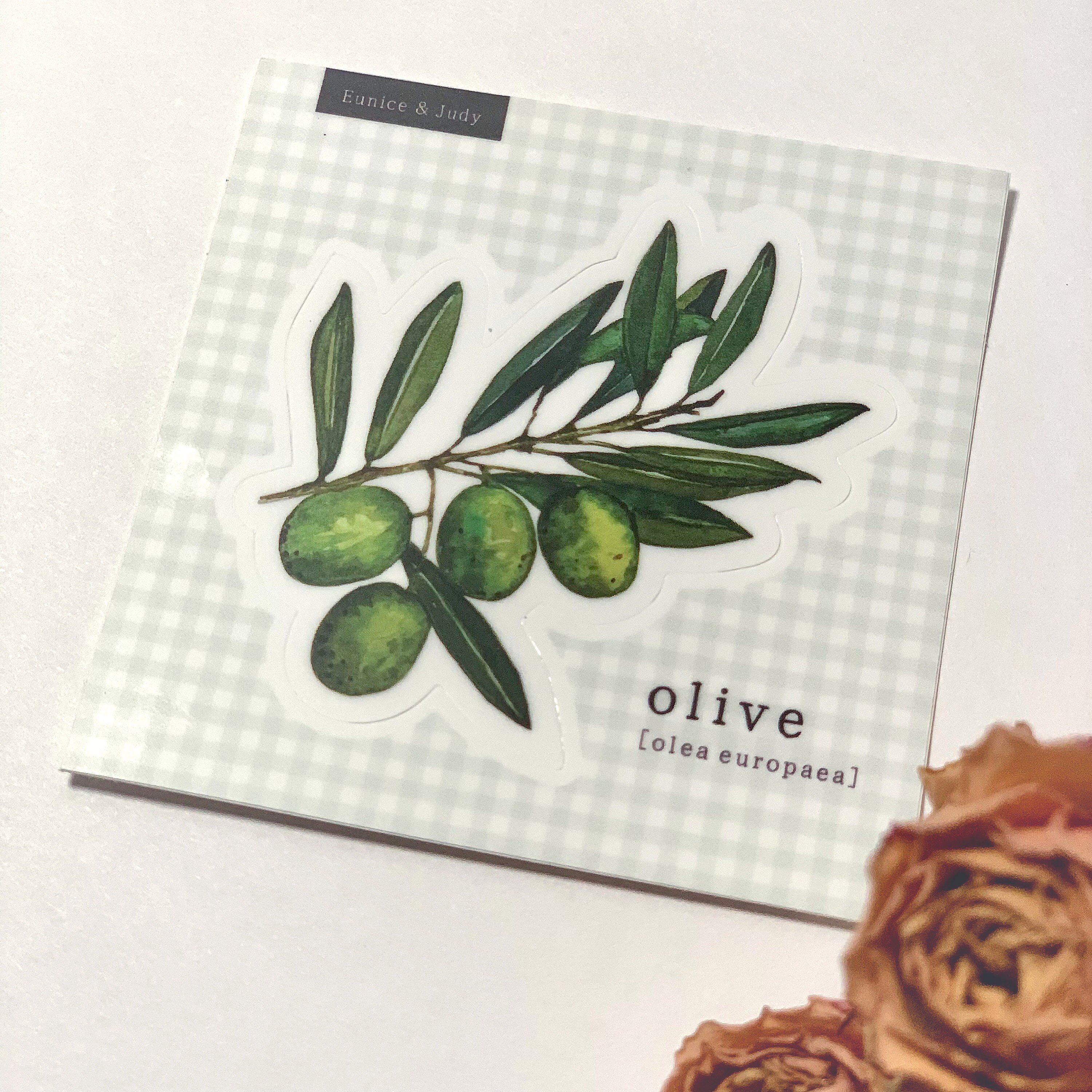 Olive Branch Sticker - Etsy