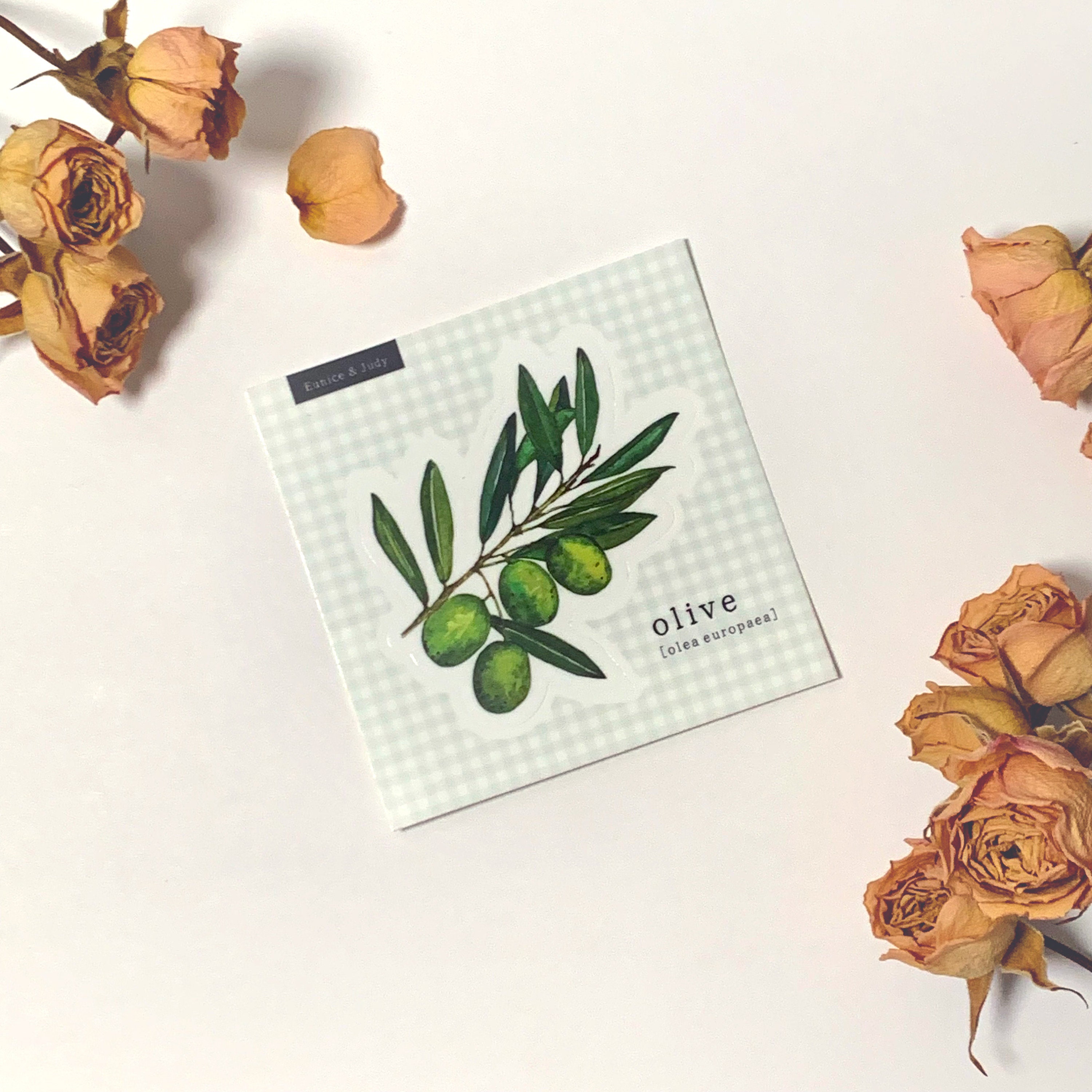 Olive Branch Sticker - Etsy