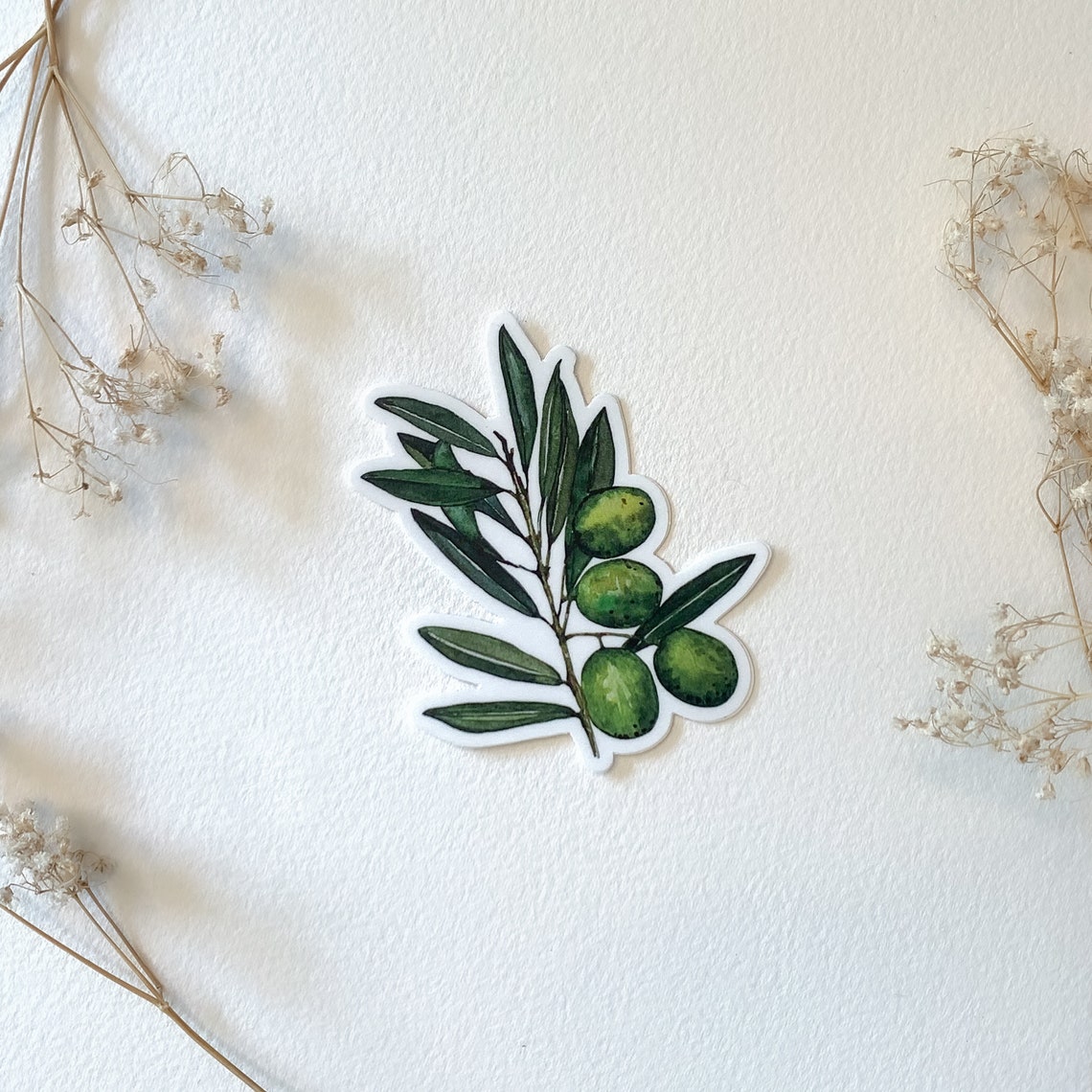 Olive Branch Sticker - Etsy